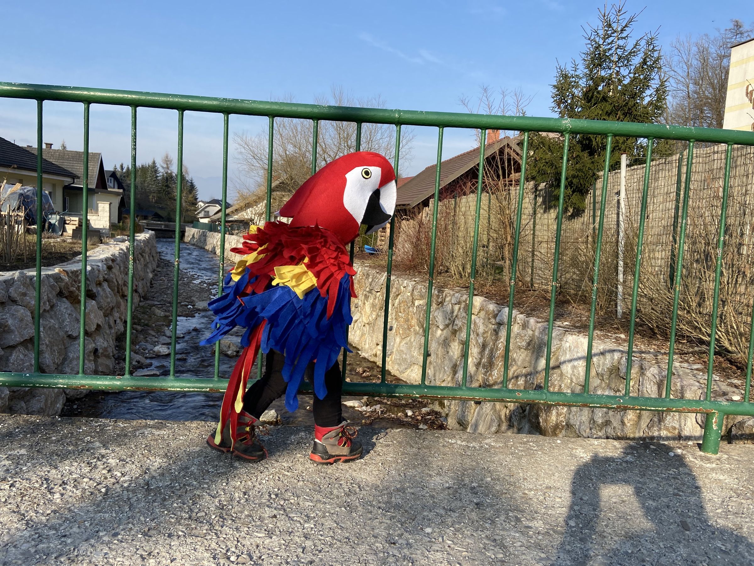 Parrot Mask and Wings : 11 Steps (with Pictures) - Instructables