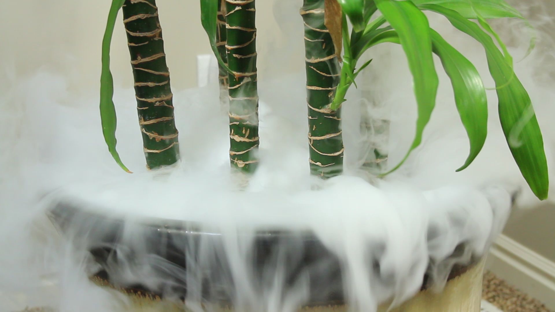 5 Awesome Tricks & Pranks With Dry Ice! : 7 Steps (with Pictures ...