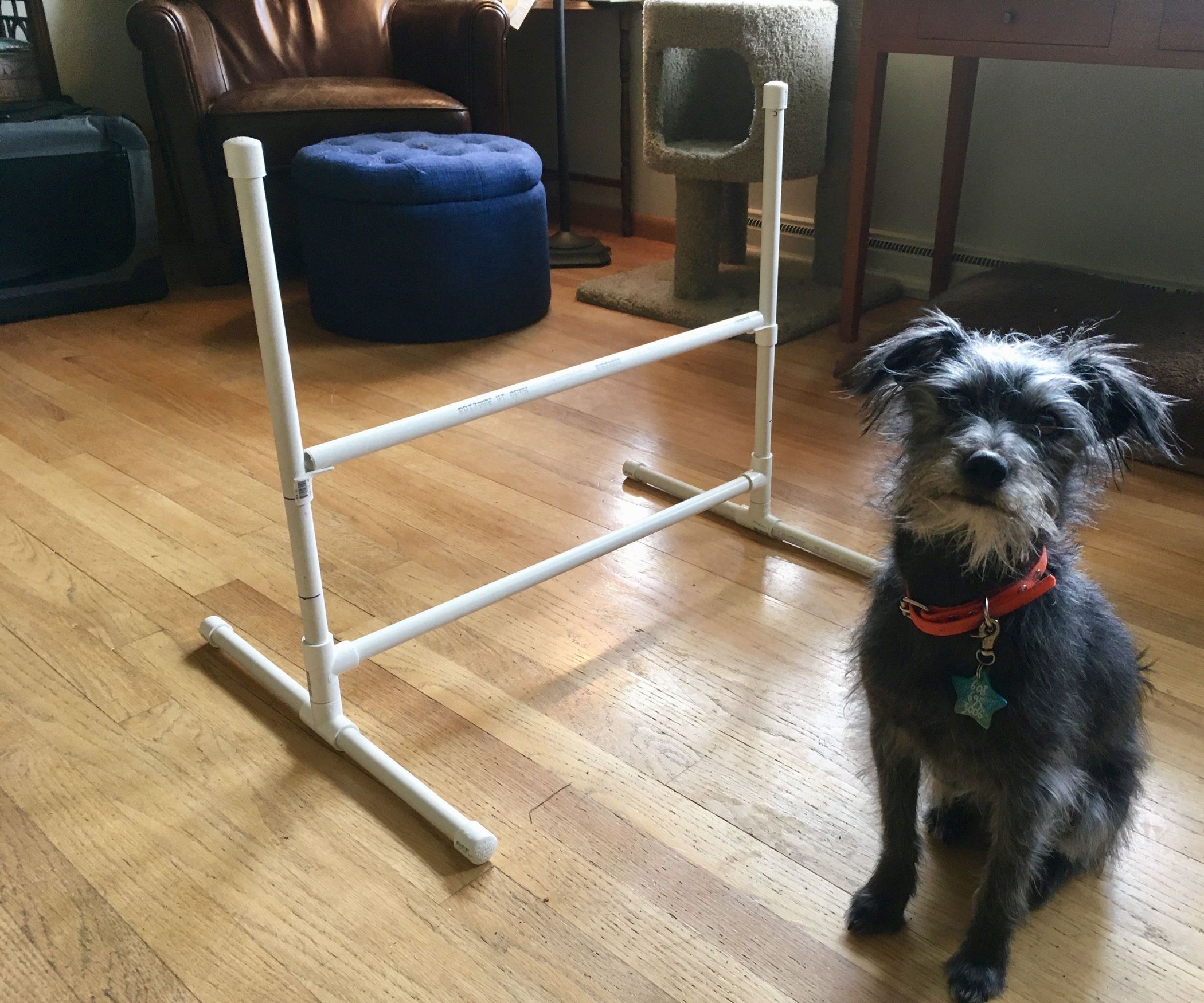 Build a Small Agility Jump : 4 Steps (with Pictures) - Instructables
