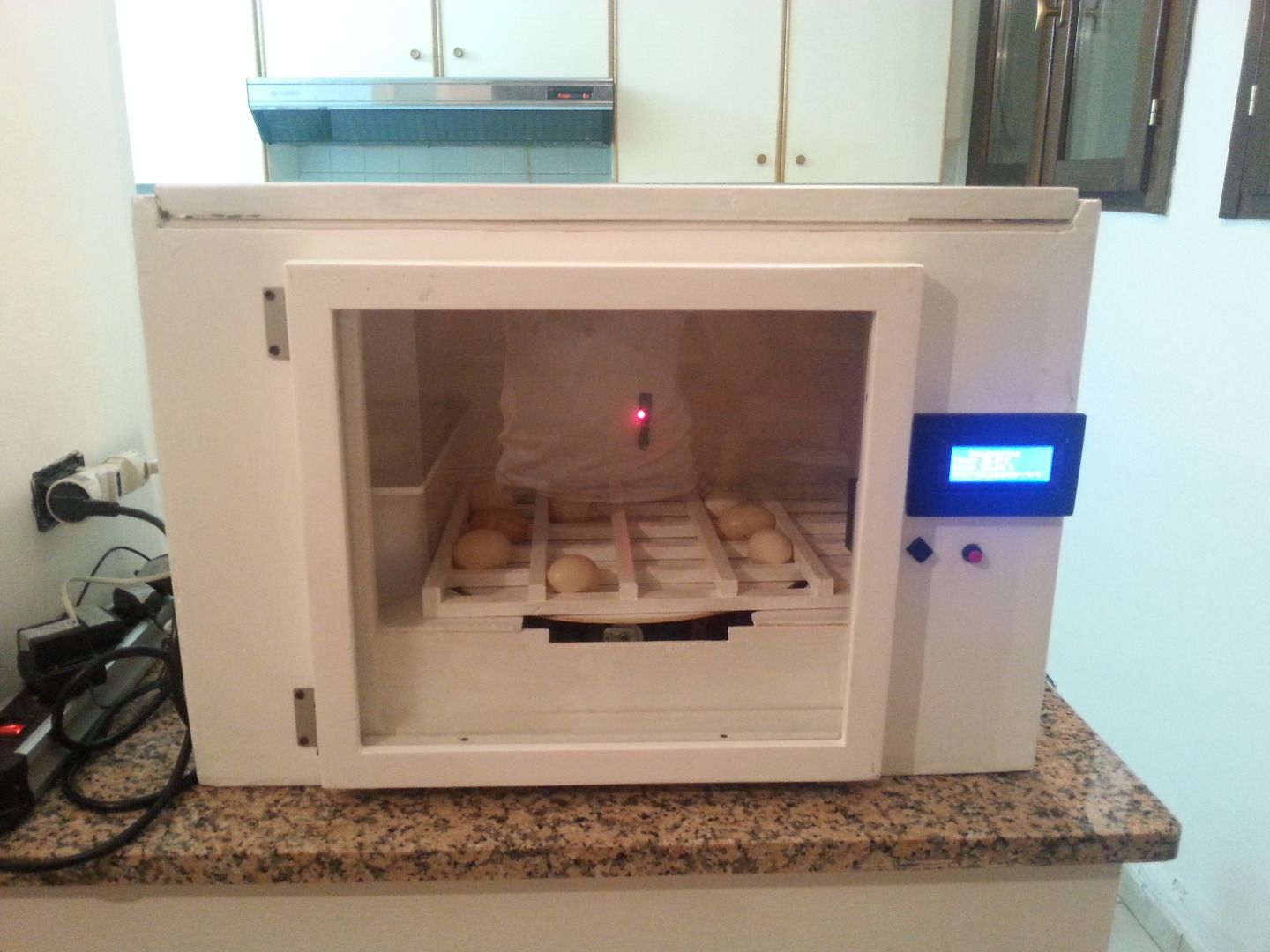 Incubat-Duino Eggs : 3 Steps - Instructables