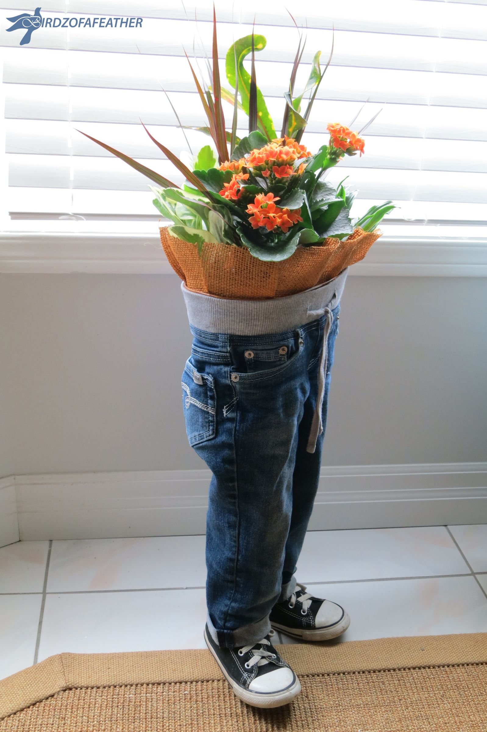 Blue Jean Planters : 11 Steps (with Pictures) - Instructables