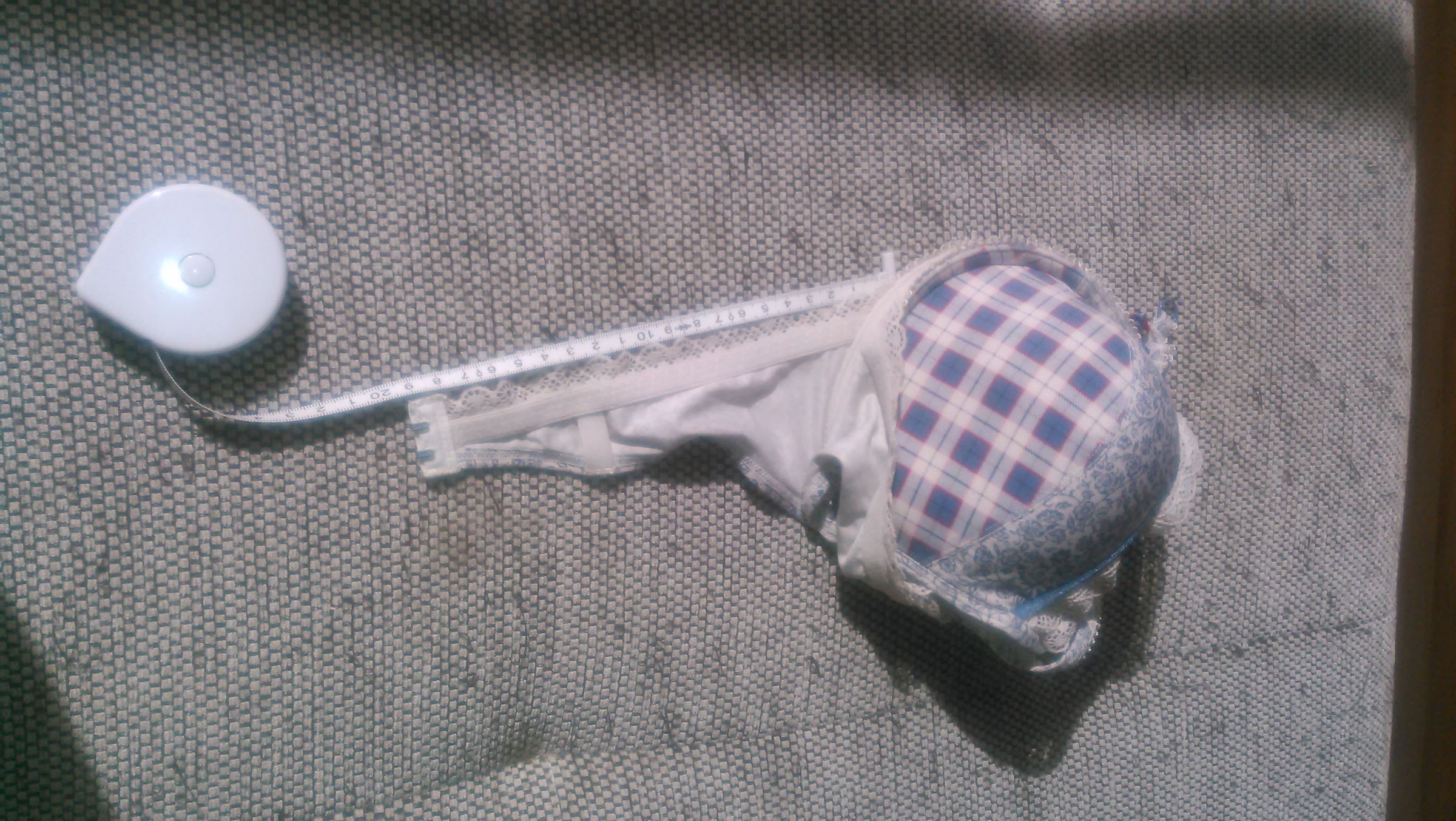 Guerilla Gardening With a Bra : 6 Steps (with Pictures) - Instructables