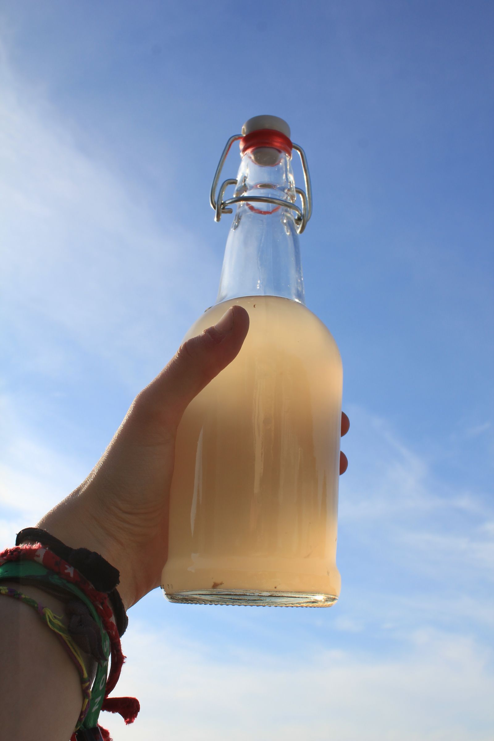 Double Fermented Kombucha : 10 Steps (with Pictures) - Instructables