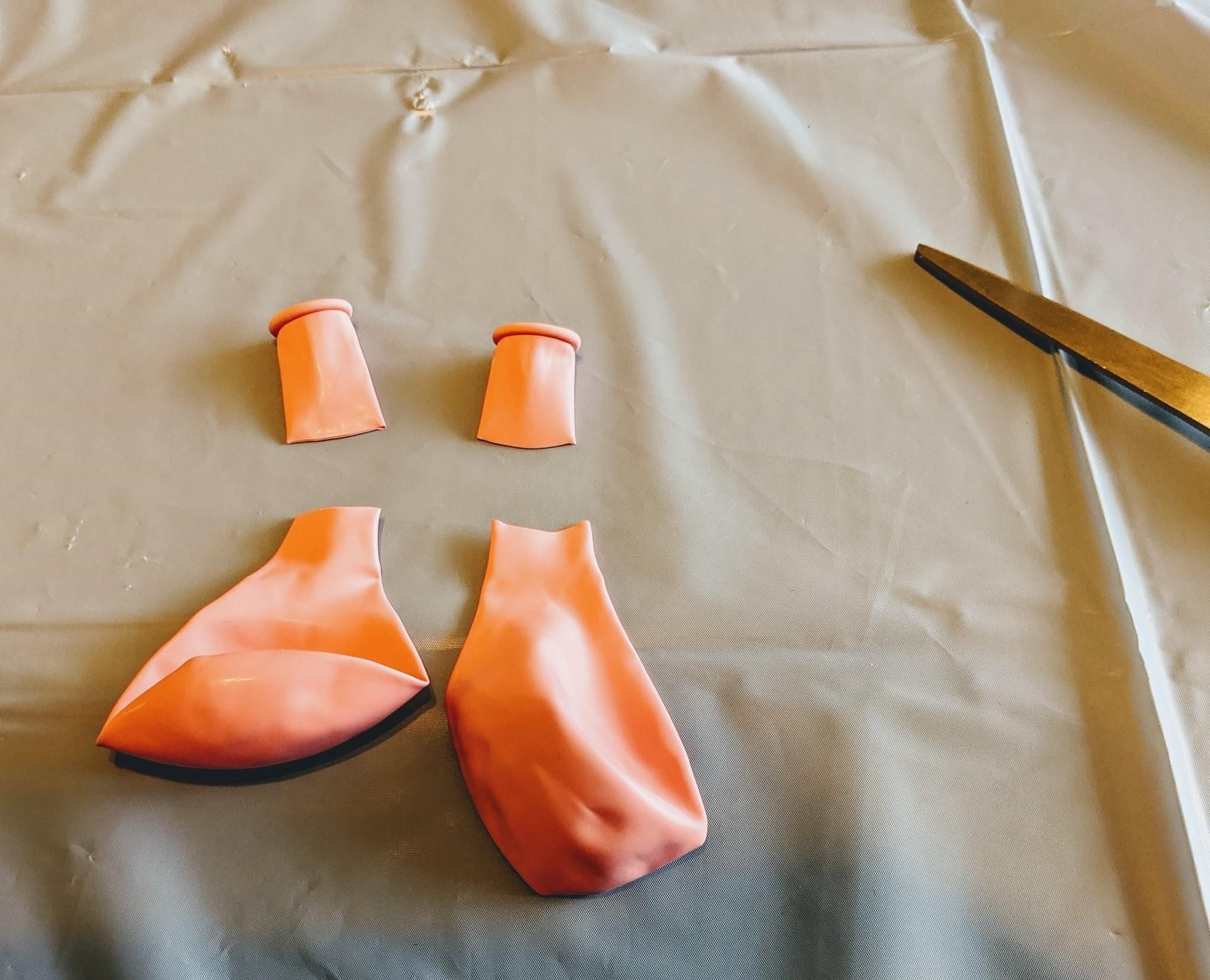 Make a Human Lung Model : 9 Steps (with Pictures) - Instructables