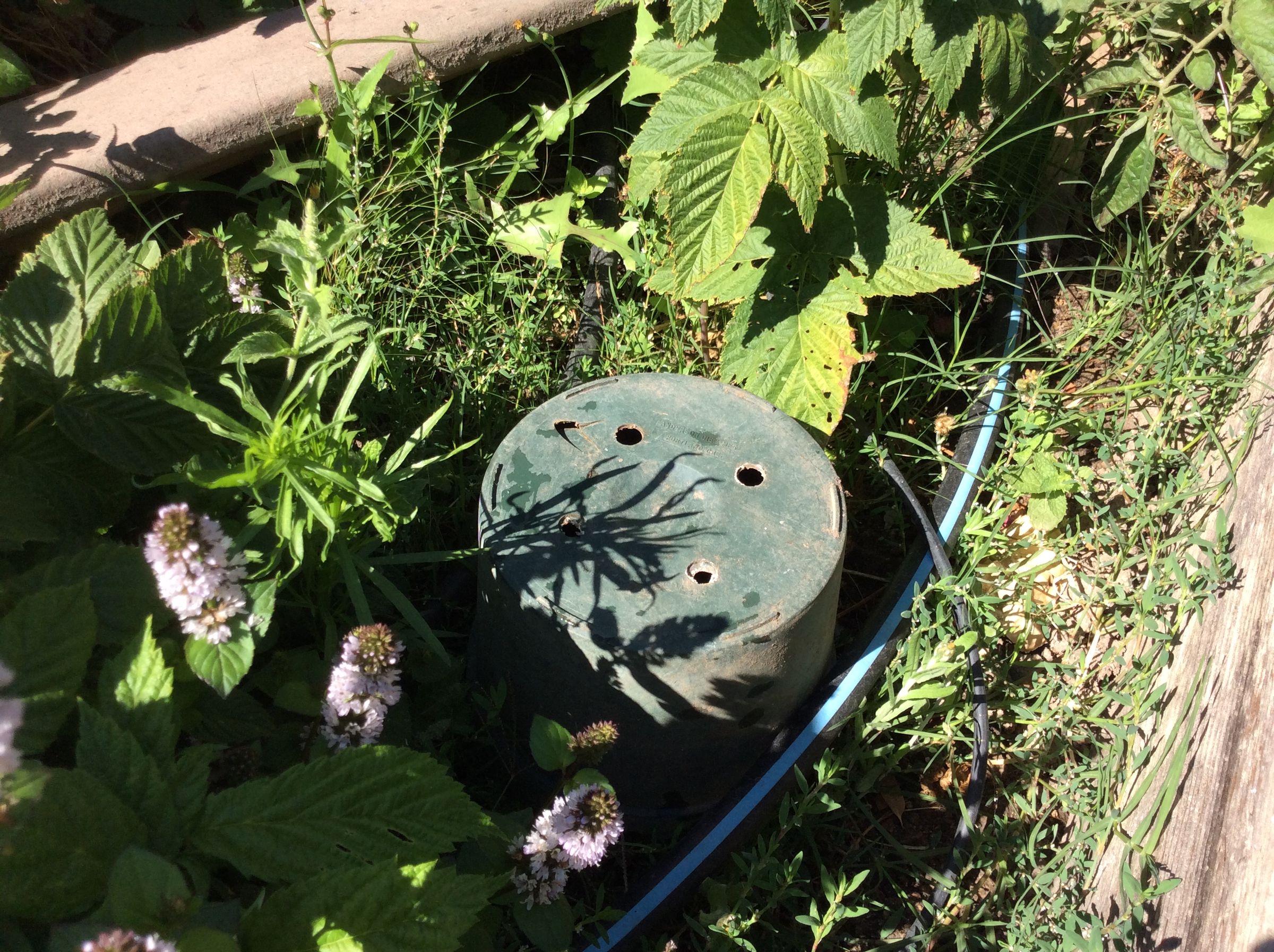 Make Your Own Bee Bath : 3 Steps - Instructables