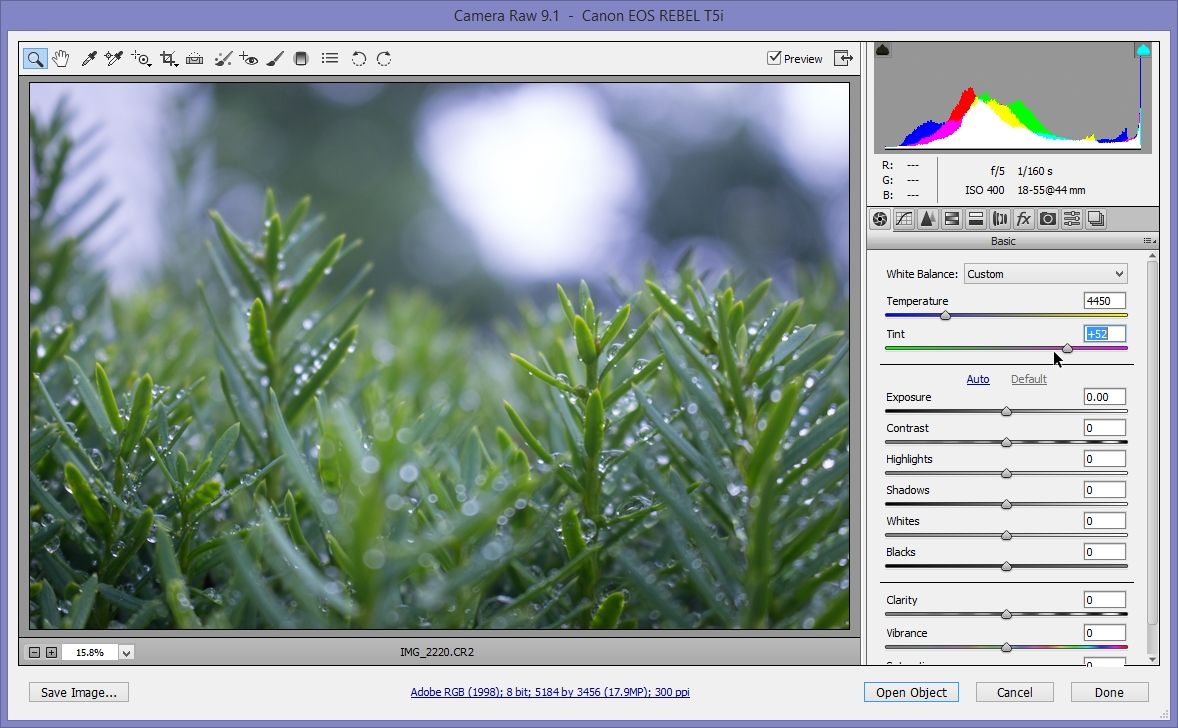 A Complete Beginner's Guide to Raw Files and Raw Processing : 11 Steps ...