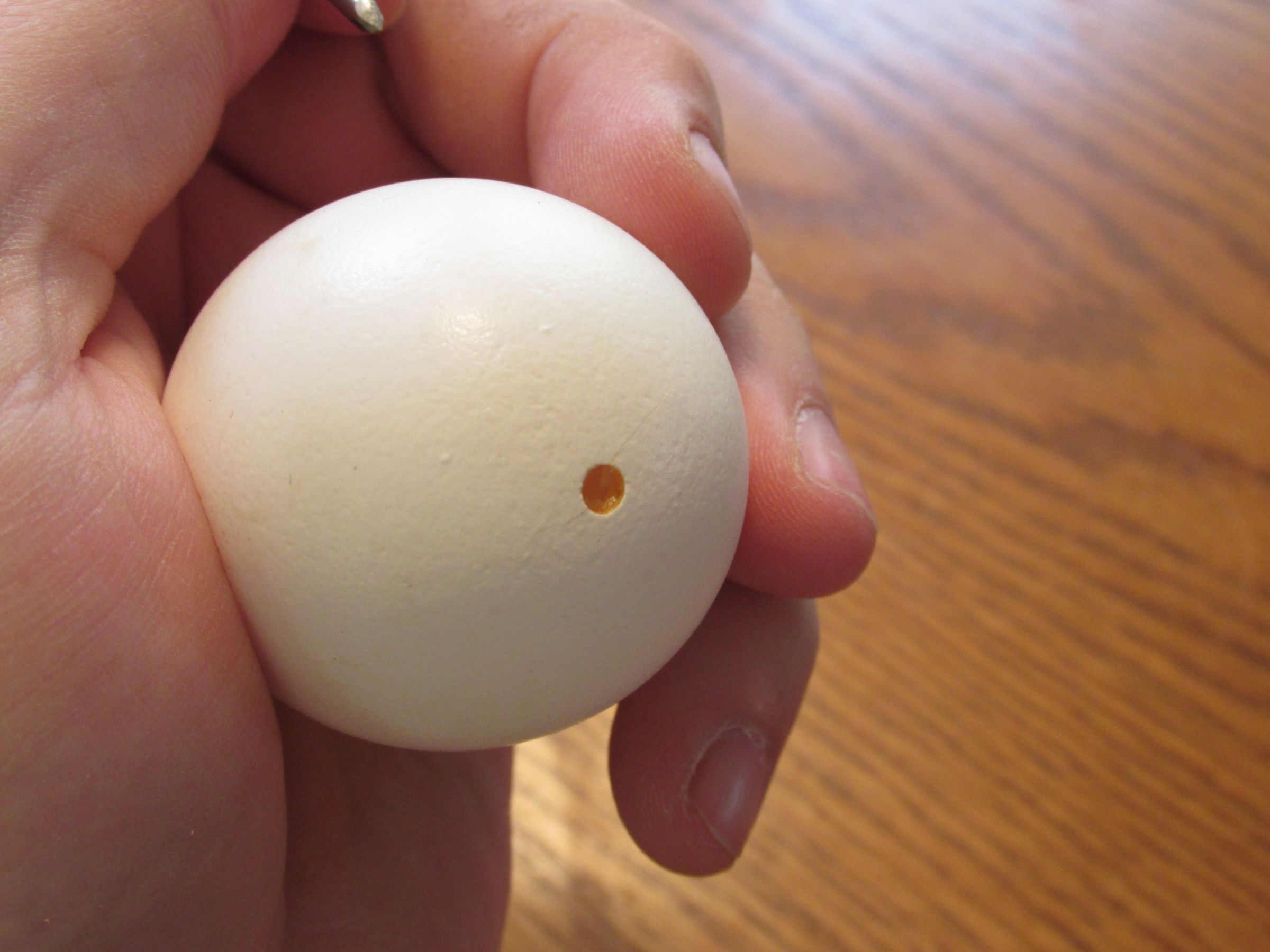 Polymer Clay Eggs : 13 Steps (with Pictures) - Instructables