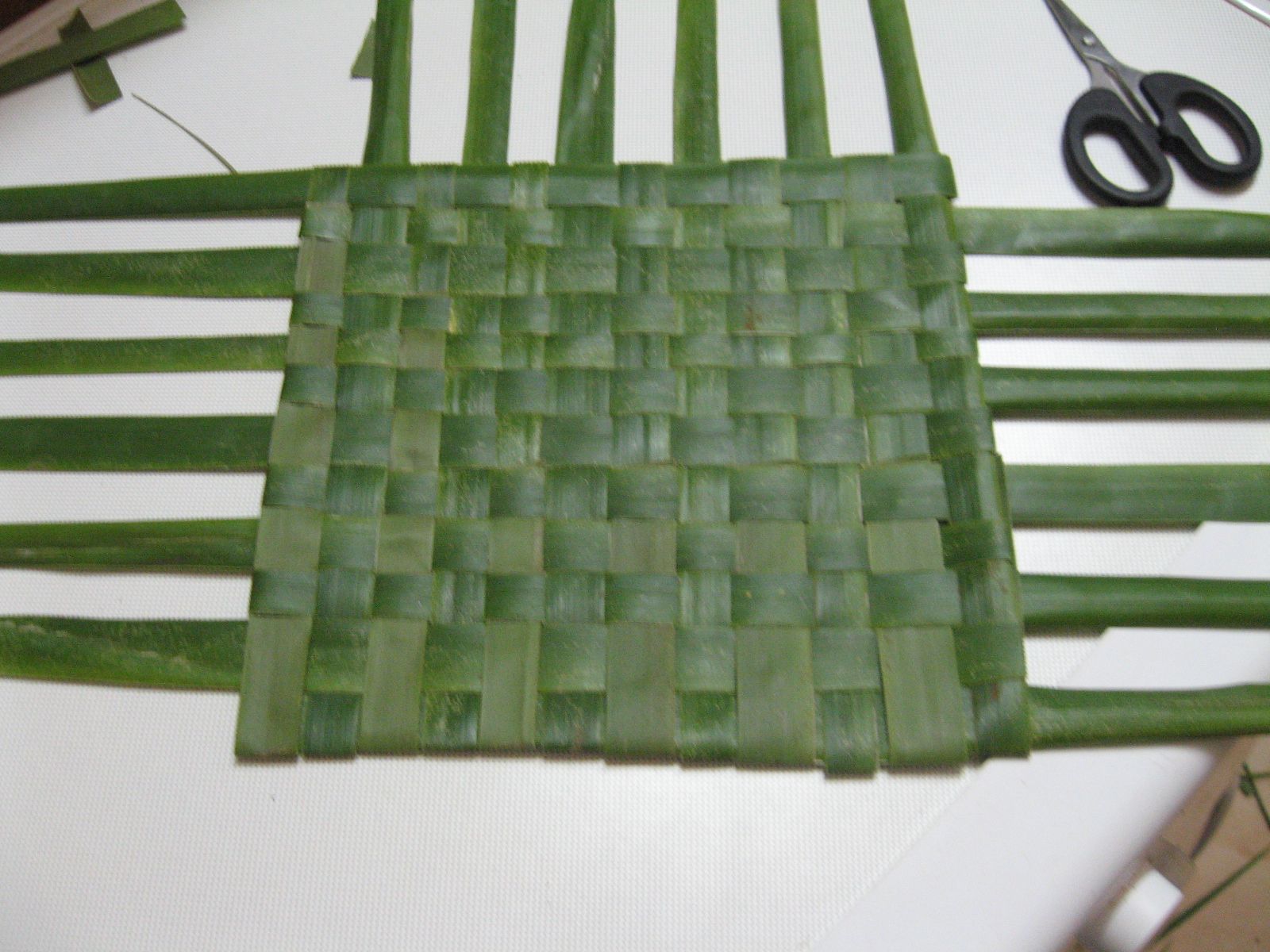 How to Weave a Small Mat From Coconut Leaves : 4 Steps (with Pictures ...