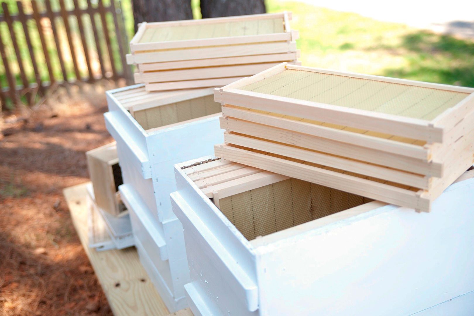 Start a Back Yard Honey Bee Hive : 10 Steps (with Pictures) - Instructables