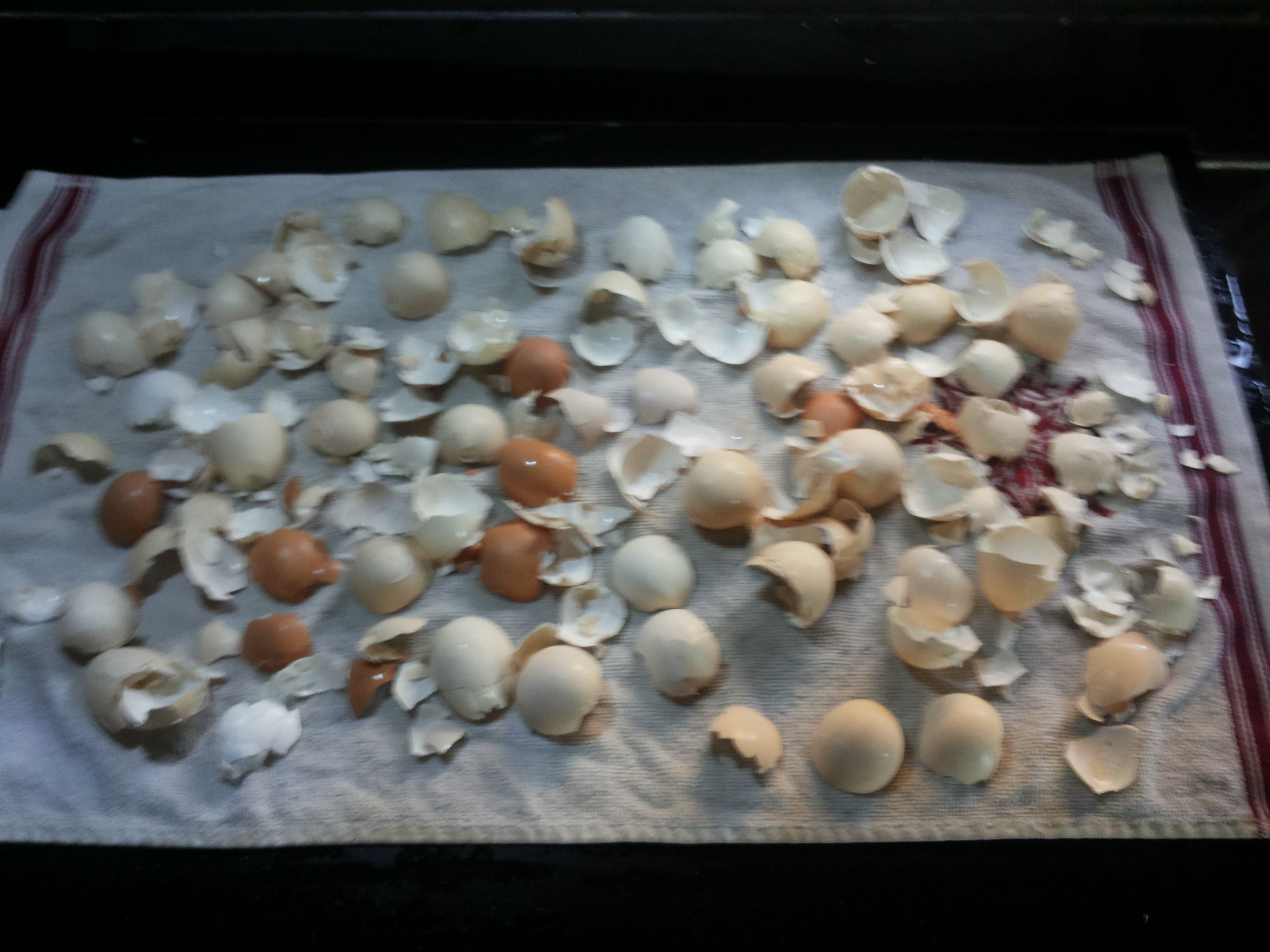 Make an Eggshell Sculpture ! : 6 Steps (with Pictures) - Instructables