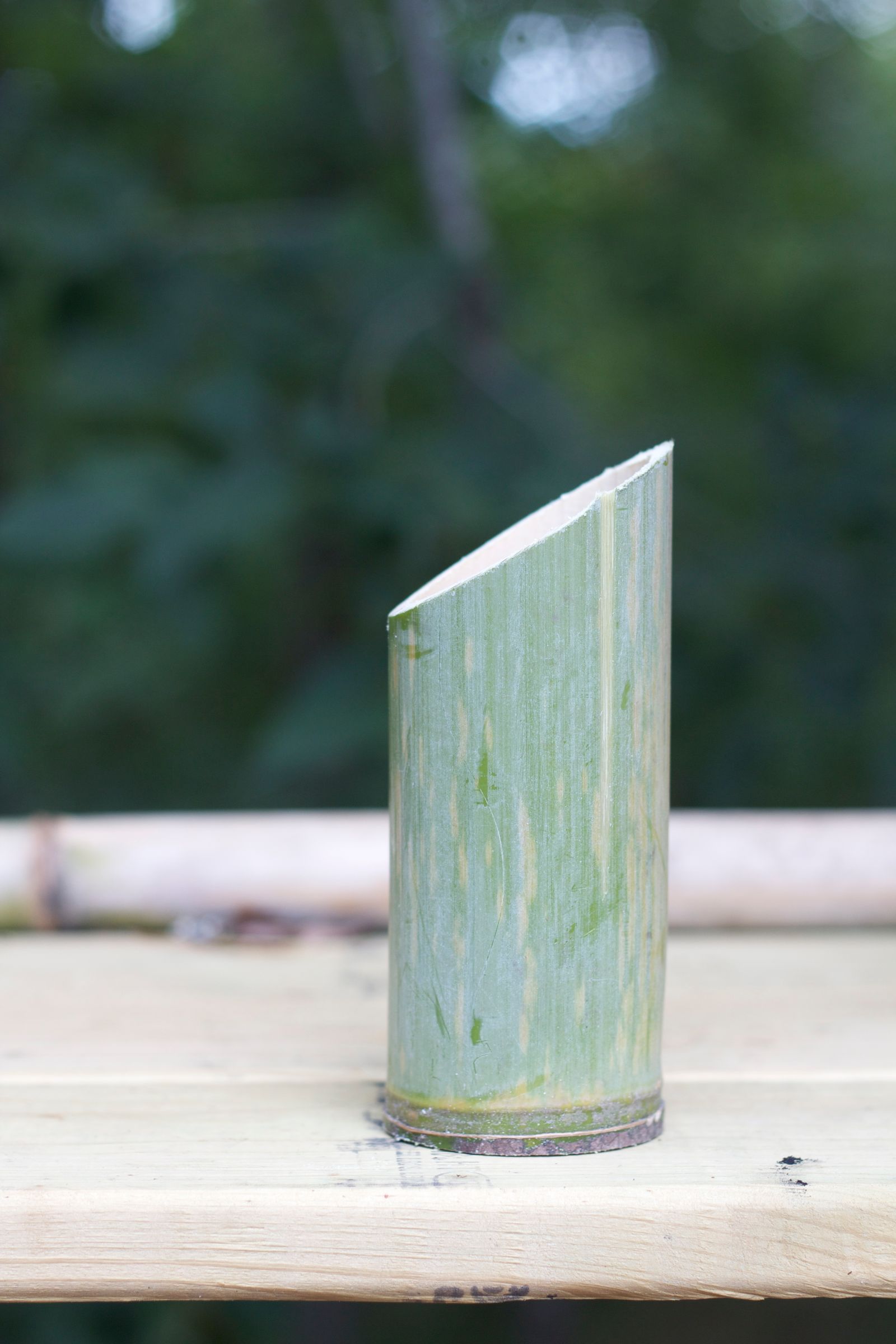 Clean, Chic Bamboo Cups : 6 Steps (with Pictures) - Instructables