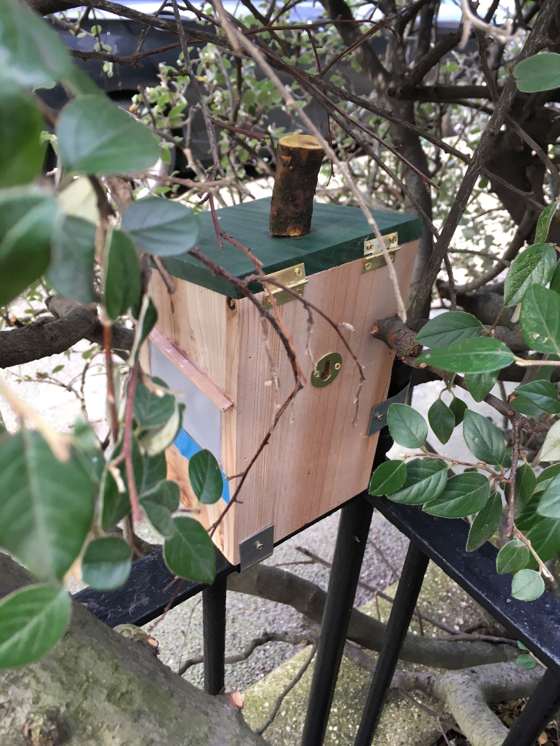 Make a WiFi Camera Bird Box - Cheepy Cheap! : 16 Steps (with Pictures ...