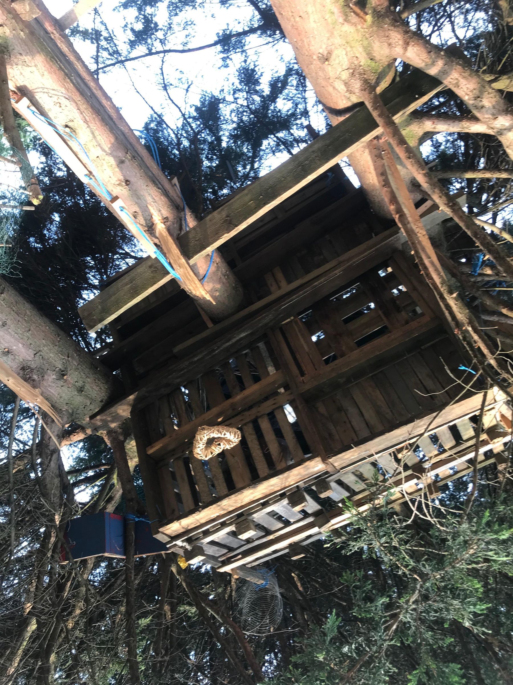 How to Build a Treehouse : 17 Steps (with Pictures) - Instructables