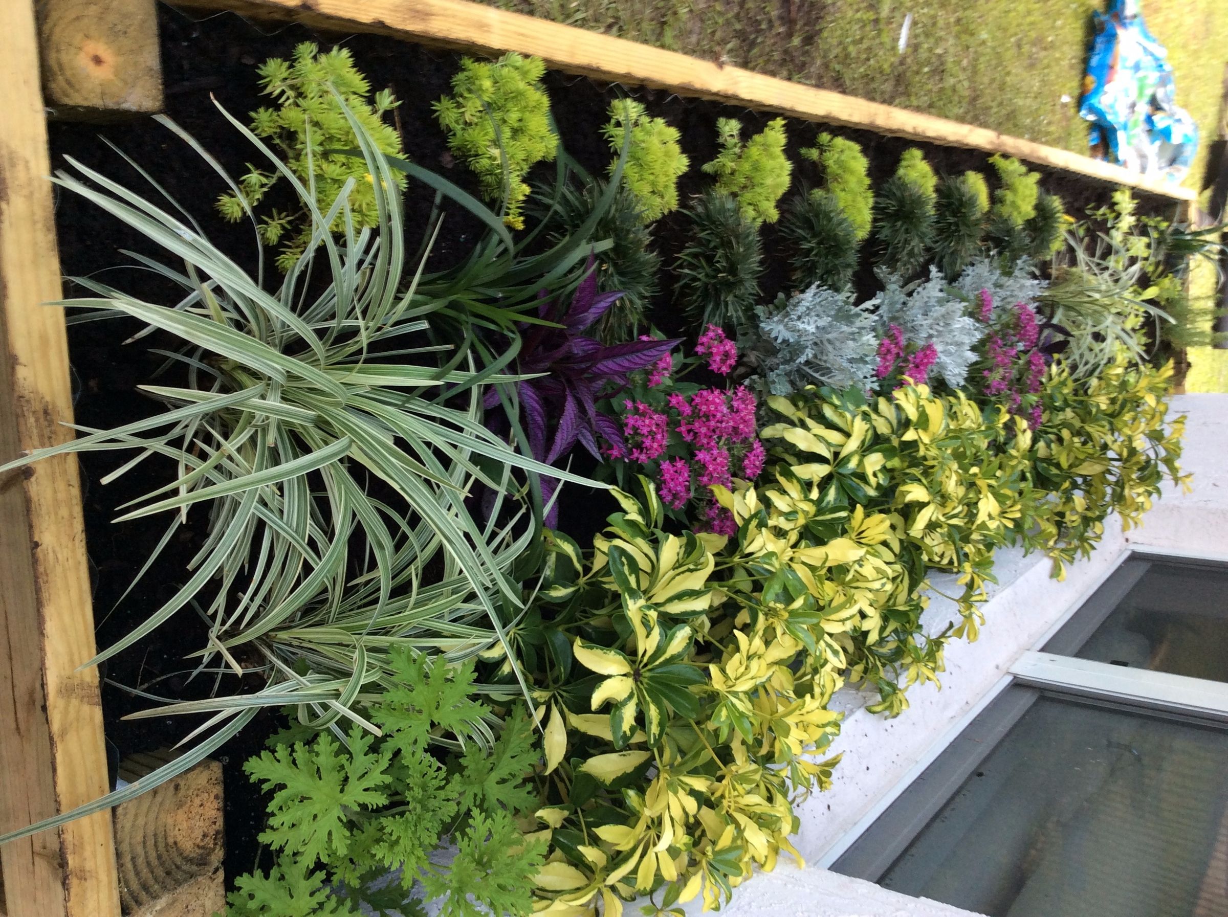 My Lovely Planter : 4 Steps - Instructables