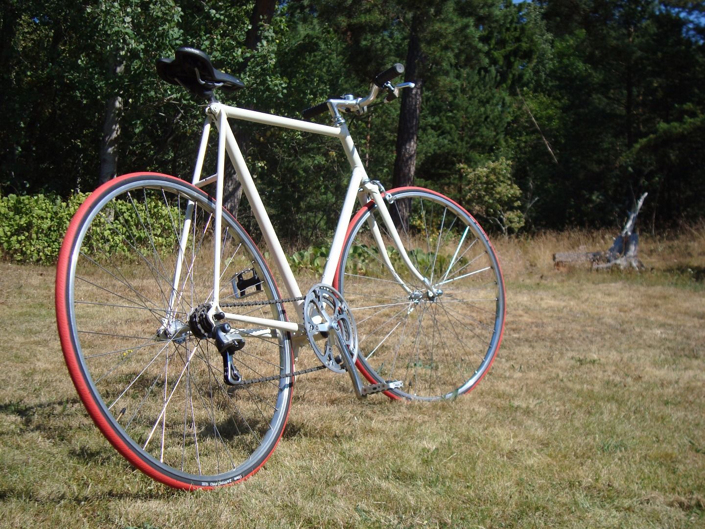 Simple Singlespeed Conversion [SSC] : 5 Steps (with Pictures ...