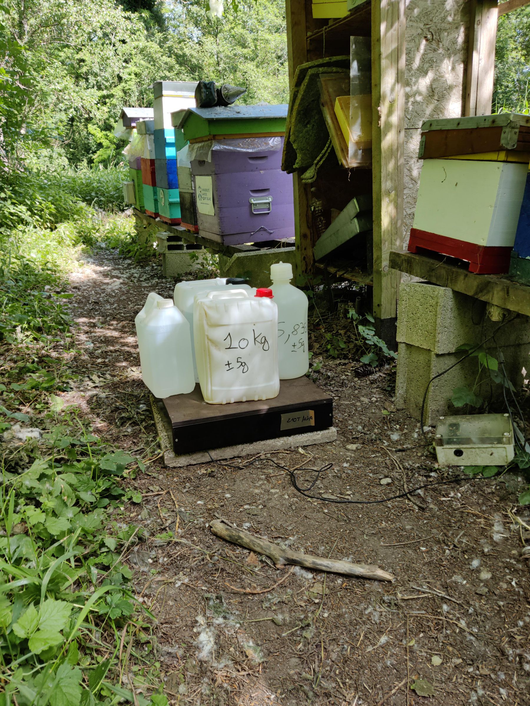 IOT BeeHive - Beehappy Project : 11 Steps (with Pictures) - Instructables