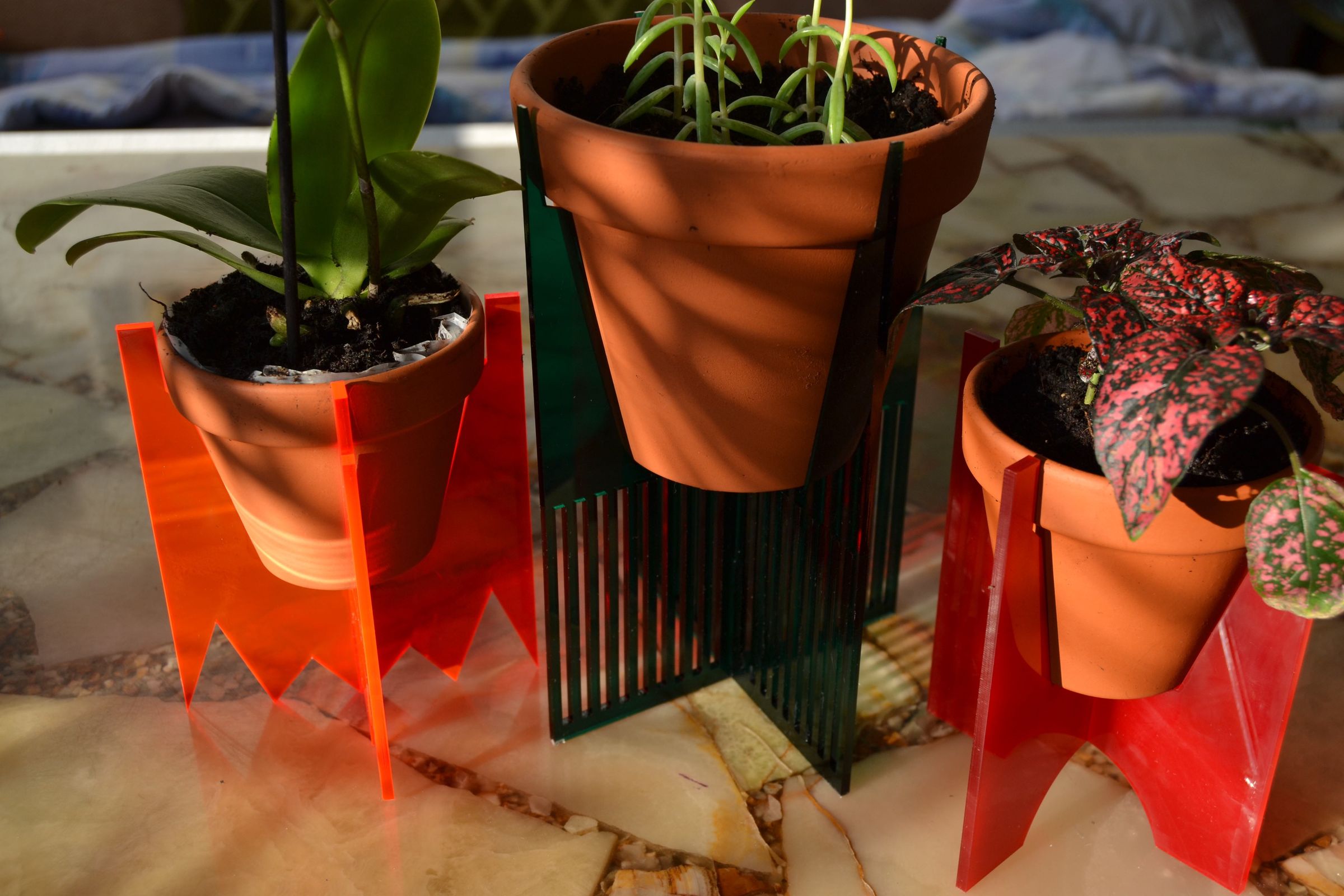 Laser Cut Planters : 7 Steps (with Pictures) - Instructables