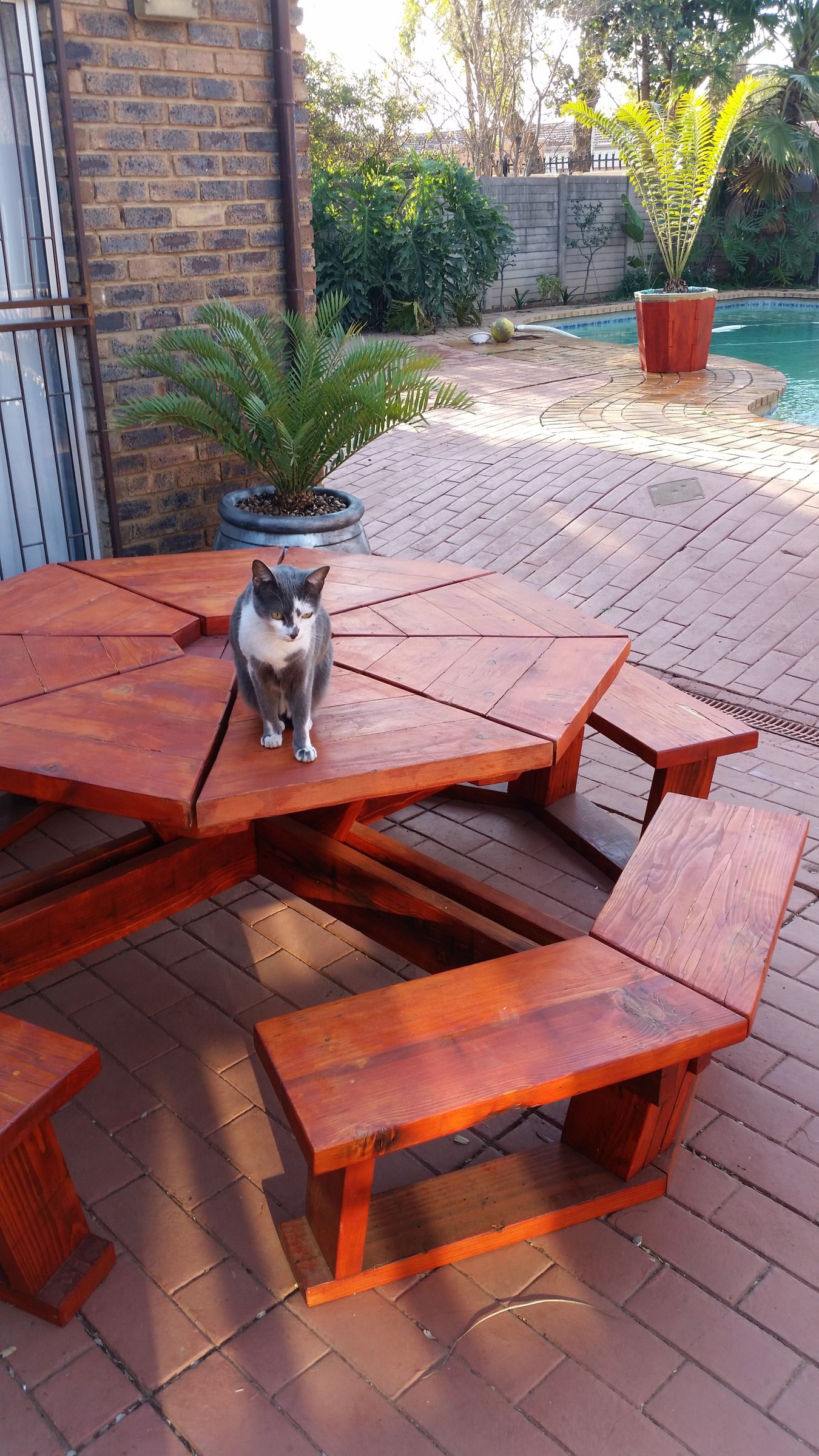 Octagonal Party Bench : 7 Steps (with Pictures) - Instructables