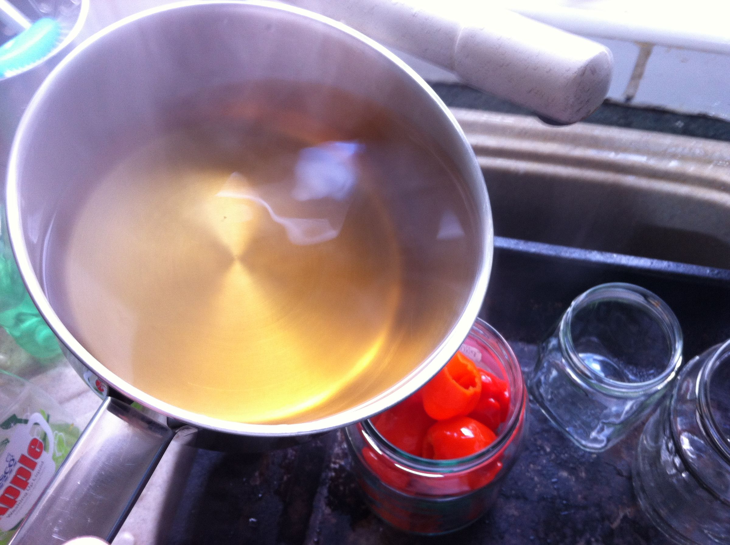 Sweet Pepperdew Peppers : 5 Steps - Instructables