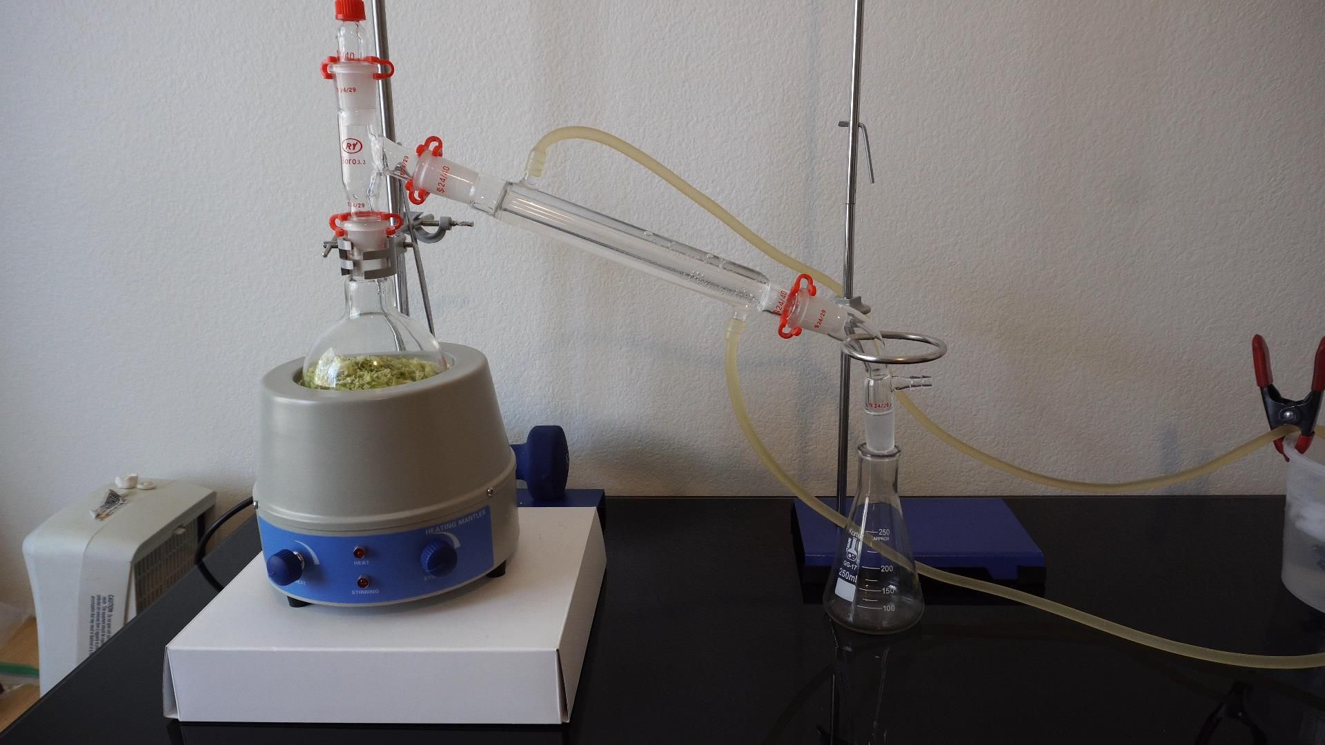 Extracting Limonene From Backyard Citrus Fruit : 4 Steps - Instructables