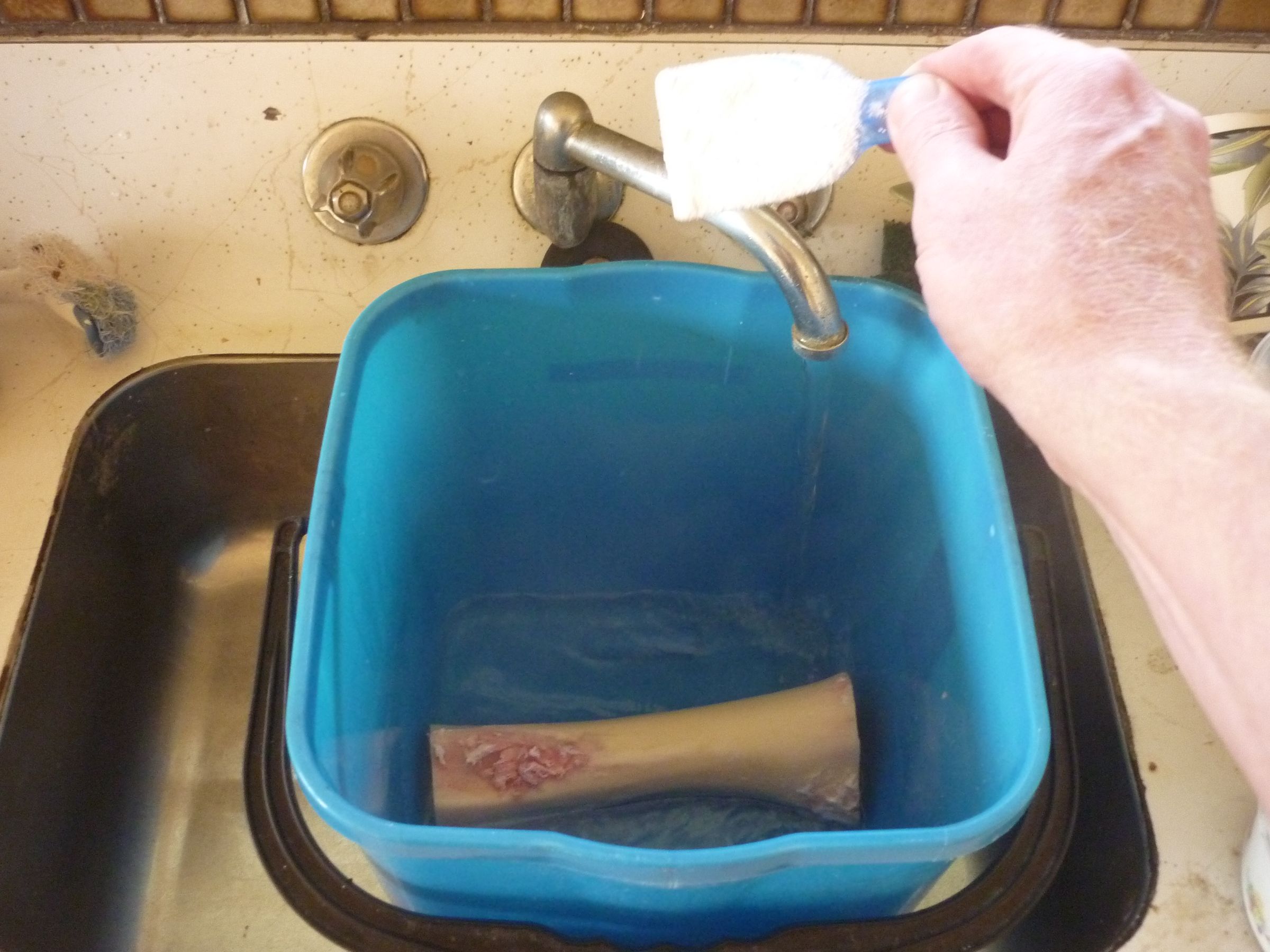 Prepare Bone for Carving : 8 Steps - Instructables