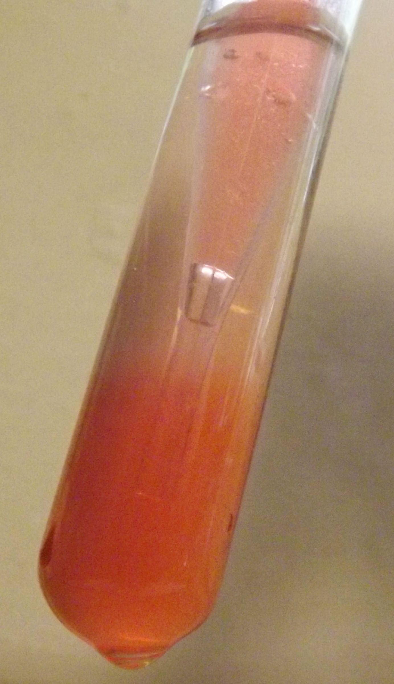 Salt Water Density Experiment : 5 Steps (with Pictures) - Instructables