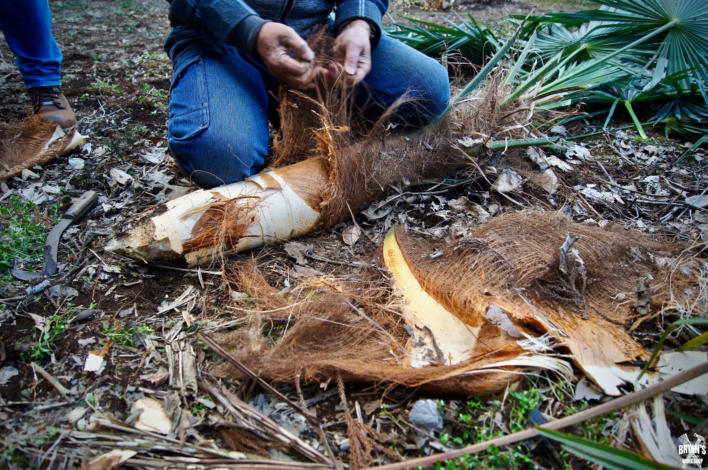 How to Make Rope Using Windmill Palm Tree Fiber! : 6 Steps (with ...